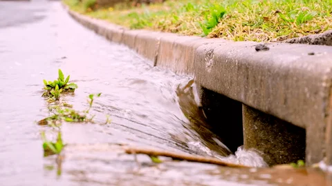 Techastegy | Harvesting Techniques